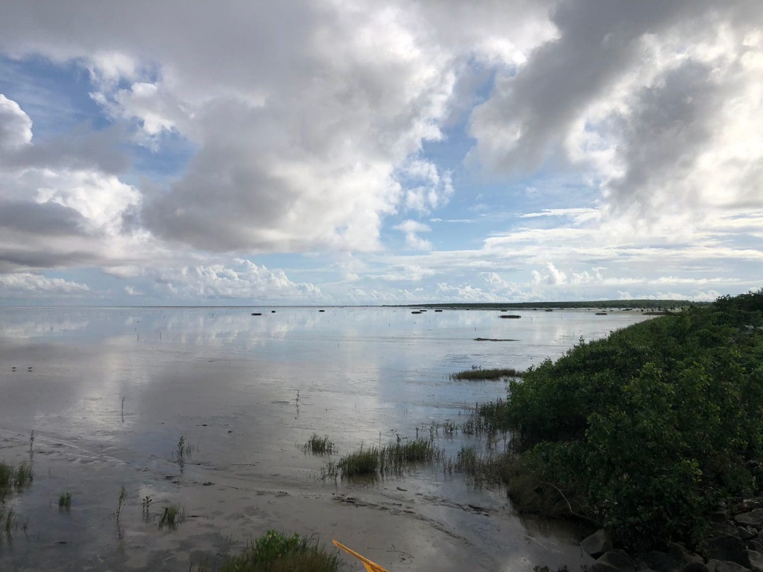 Guyana’s first line of coastal defence battles new issues - Cari-Bois ...