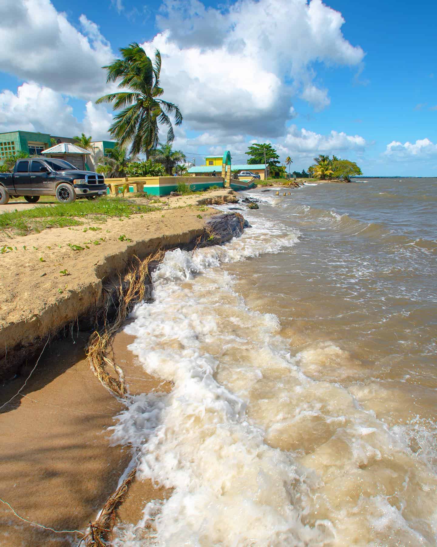 How Belize's Bright Biodiversity Is Inextricably Linked To Blue Carbon ...