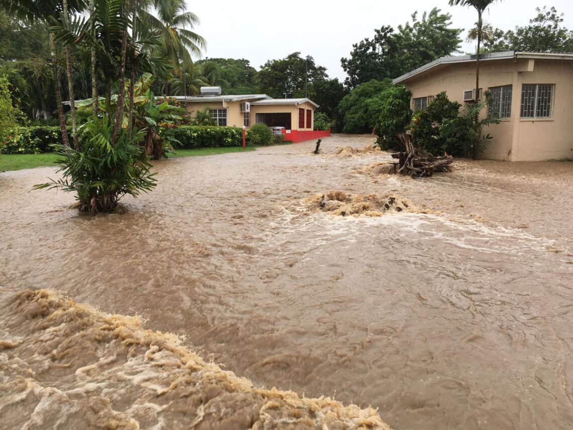 Falling Through the Cracks: The Degradation of Barbados’ Gullies - Cari ...